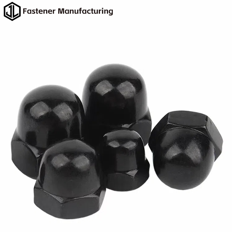 Carbon Steel Cap Nuts – Jiulong (Hebei) Fastener Manufacturing Co., Ltd.